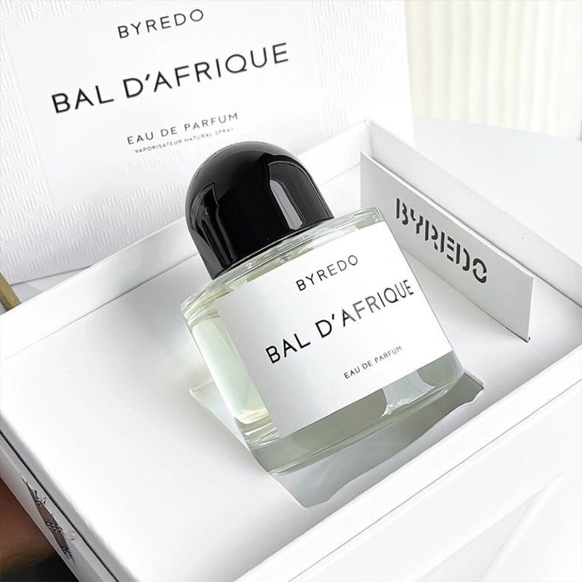 Bal d'Afrique – Kriz Reales Studio